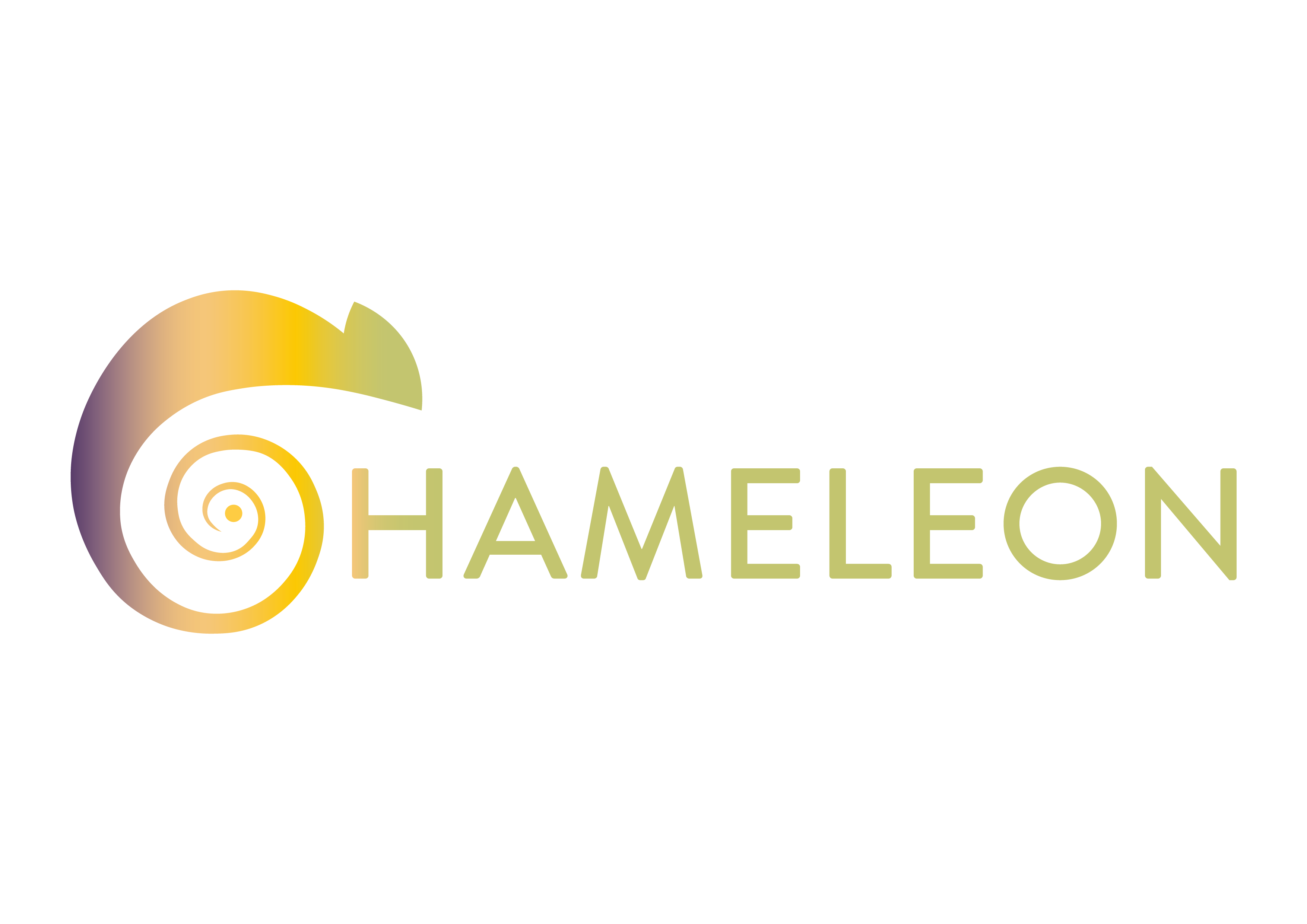 European project CHAMELEON - Delair